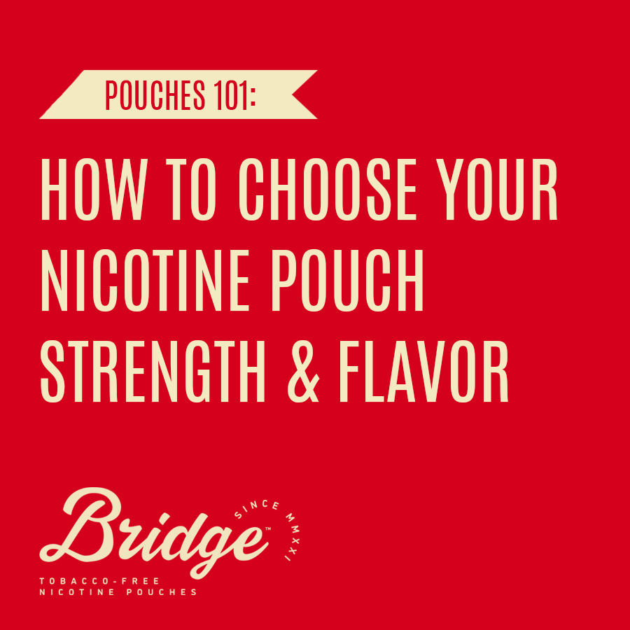 How to Choose Your Nicotine Pouch Strength & Flavor | Bridge™